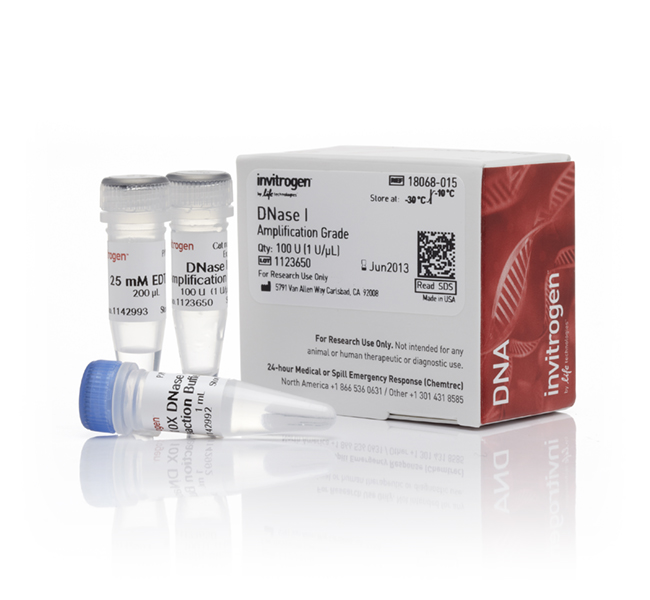 SuperScript™ III Reverse Transcriptase 货号18080044价格_品牌:Invitrogen-丁香通