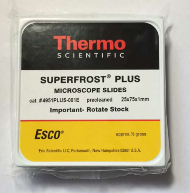 Thermo 4951PLUS-001E进口玻片 防脱载玻片 高纯度 耐腐蚀载玻片 玻片 价格_品牌:Thermo Fisher-丁香通官网