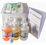 Hito Golgi-Cox OptimStain PreKit 高尔基染色试剂盒价格_品牌:Hitobiotec-丁香通官网