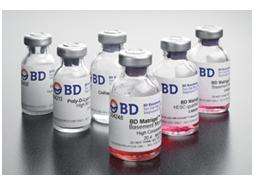 BD Matrigel 基质胶（356234）价格_品牌:BD-丁香通官网