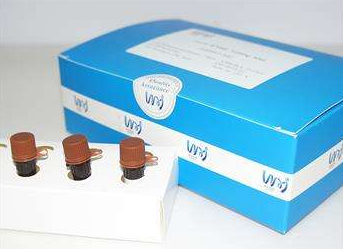 DsRed-mito(DsRedmito)质粒载体价格_品牌:上海彩佑-丁香通官网