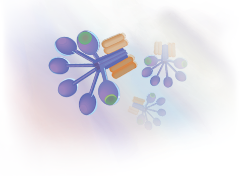 Normal Human Serum Complement|A113|Quidel价格_品牌:QUIDEL-丁香通官网