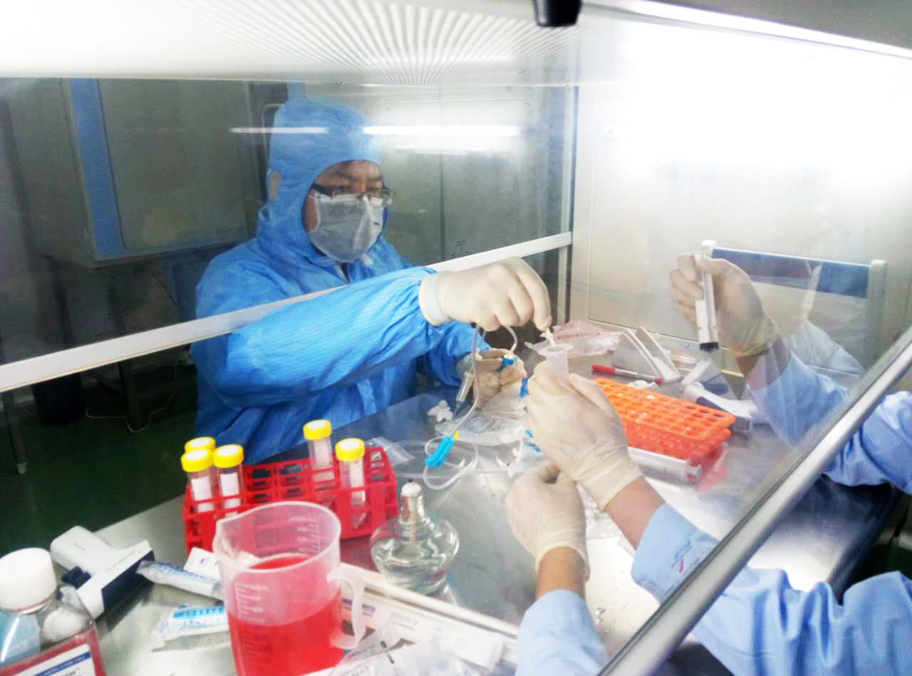 脑微血管内皮细胞 /免疫荧光鉴定/镜像绮点（Cellverse）价格_品牌:iCell（赛百慷）-丁香通官网