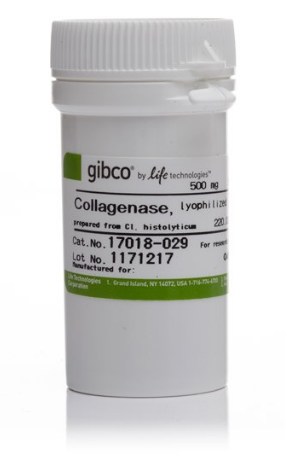 胶原酶 I Collagenase, Type I, powder 17100017价格_品牌:Gibco™-丁香通官网