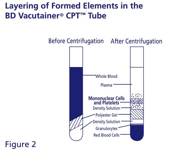 BD Vacutainer® CPT™单个核细胞制备管 PBMC管价格_品牌:BD-丁香通